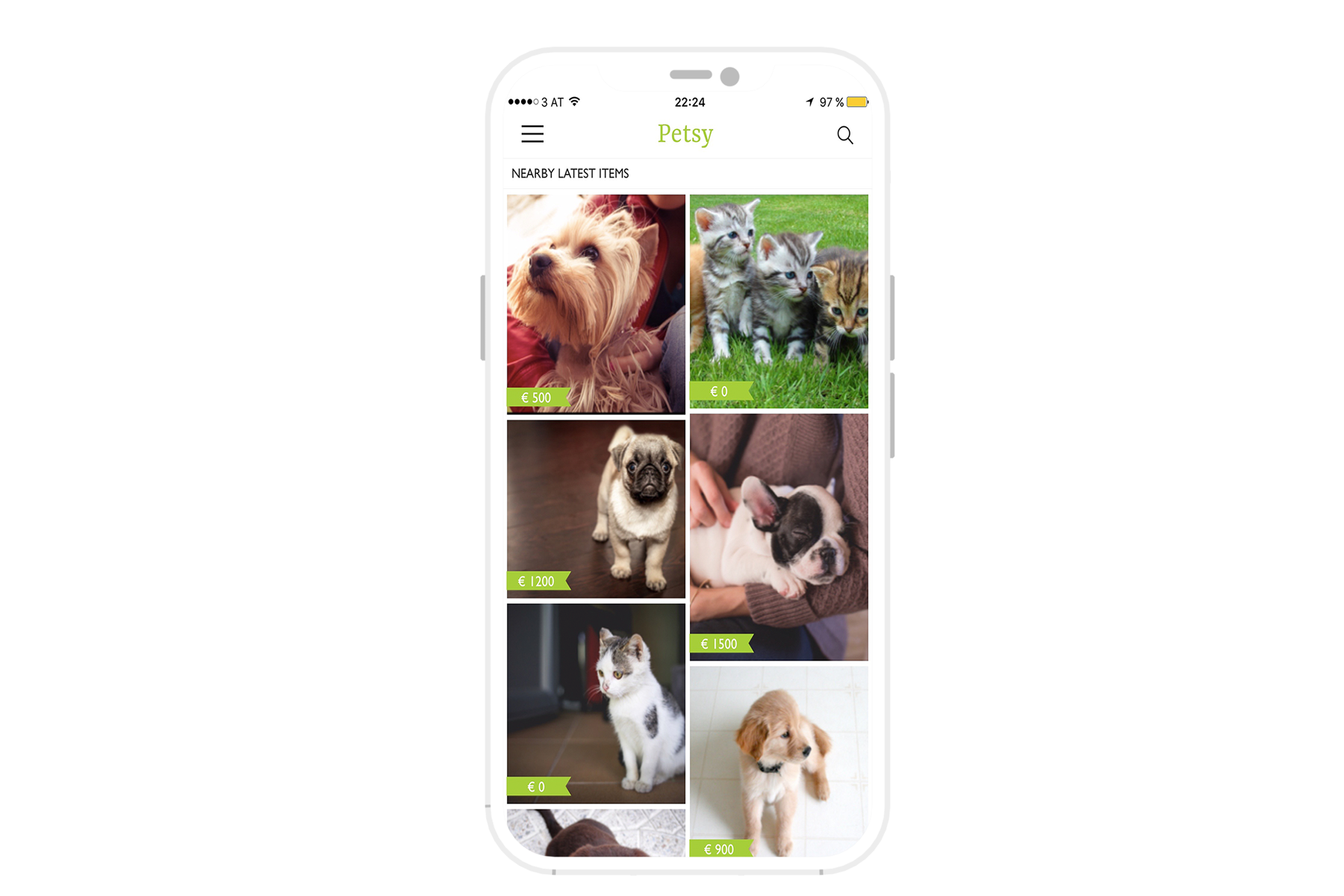 Petsy – LUMEDIA